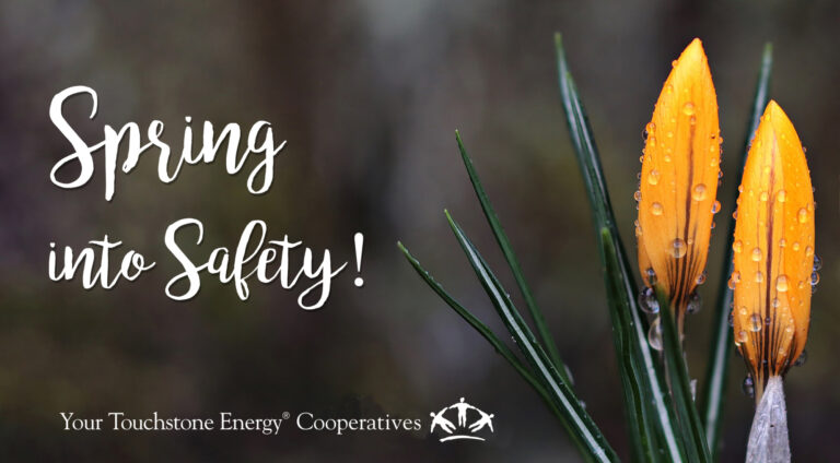 Spring Into Safety - Your Coop Power